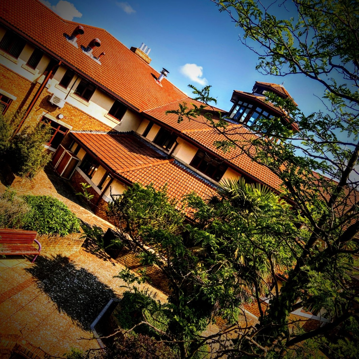 The Turing School - Top Student Photography